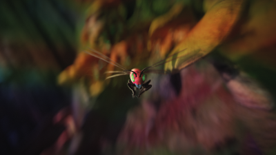 deBUG - Motion Design Awards