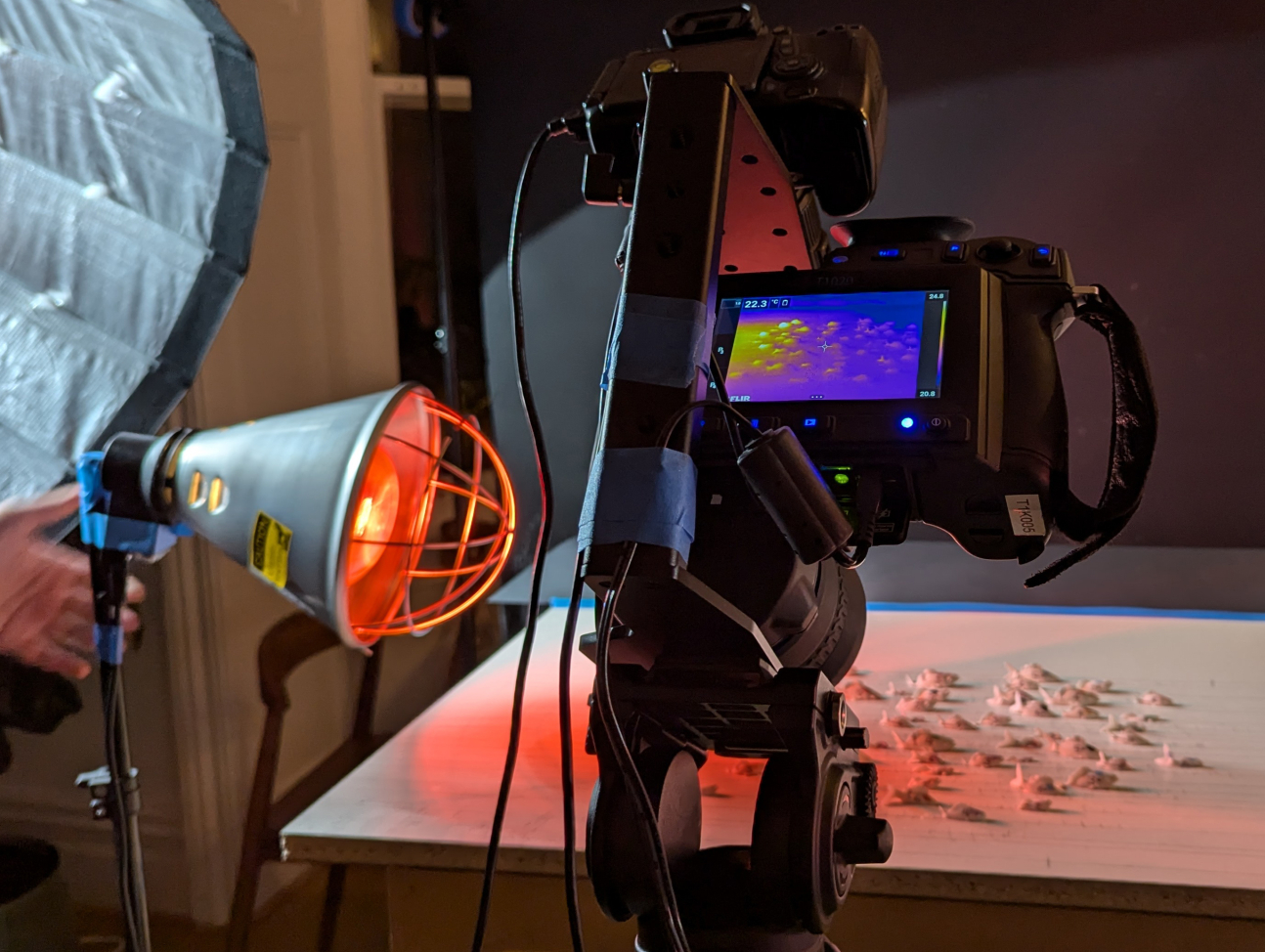 WWF - In Hot Water - Motion Design Awards