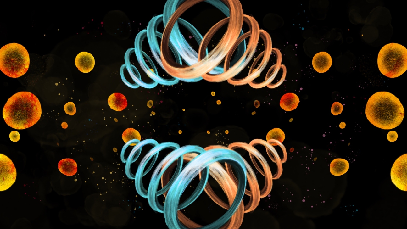 Catgot - Motion Design Awards