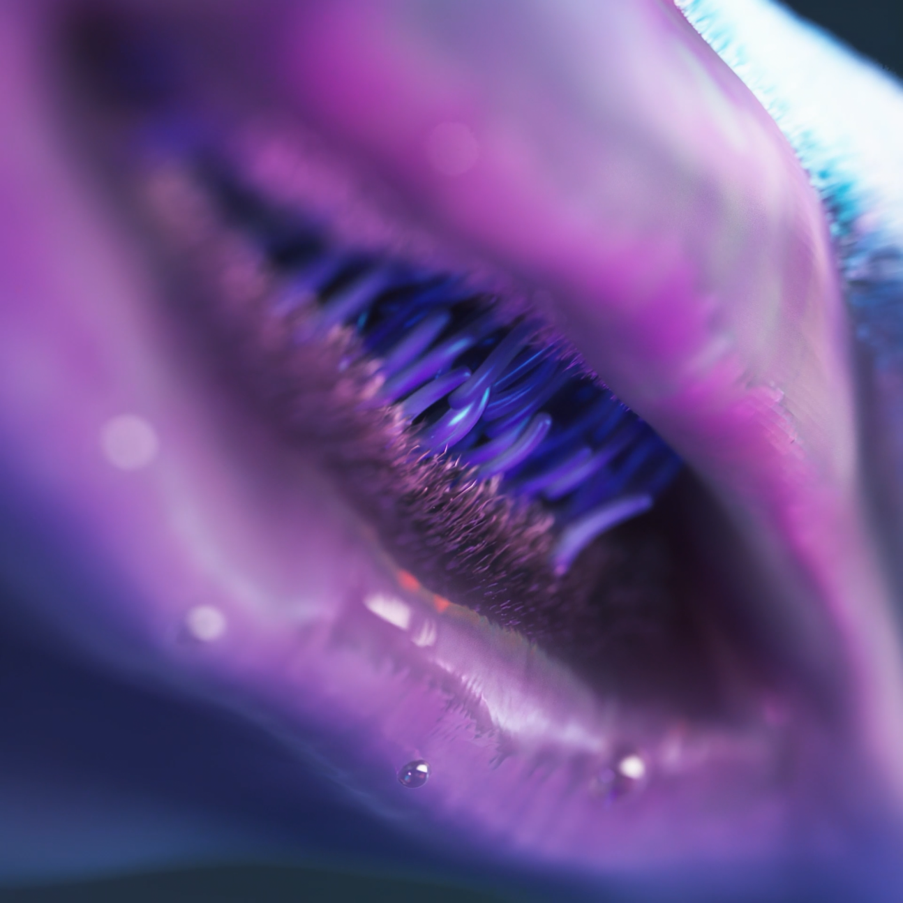 PRIMORDIAL ABYSS - Motion Design Awards