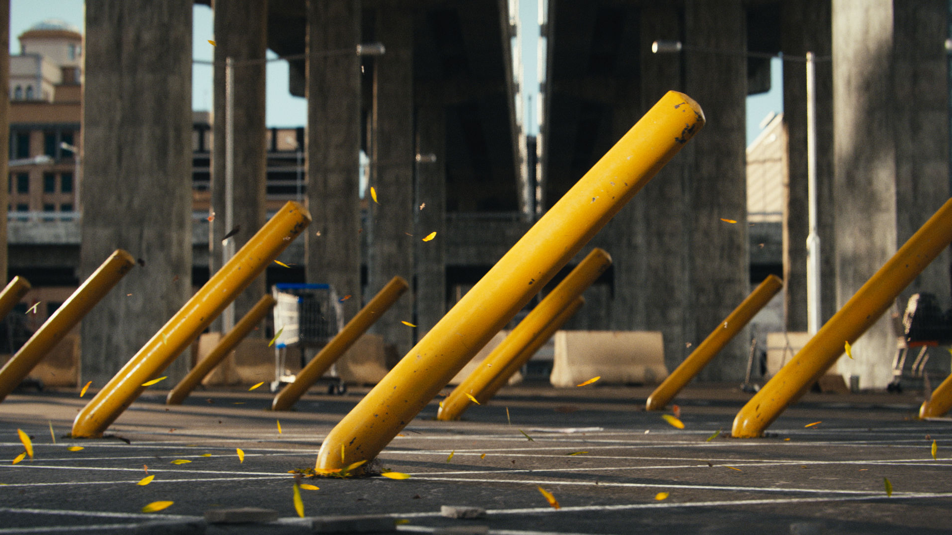 SIGHTS ON SCENE - Motion Design Awards