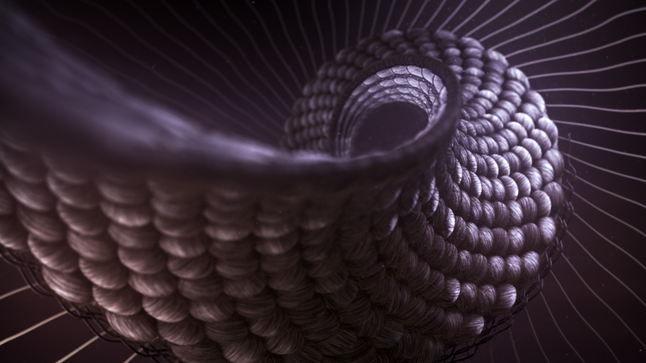 GALEECHA - Motion Design Awards