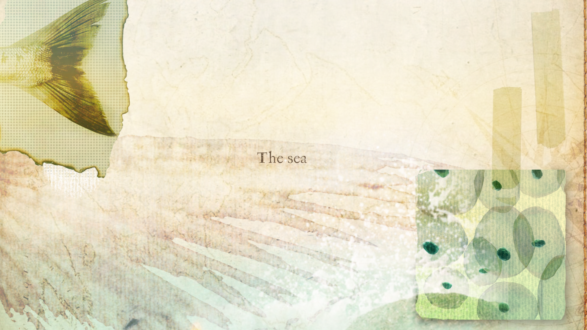 What is the sea?- PSA for Ocean Conservancy - Motion Design Awards