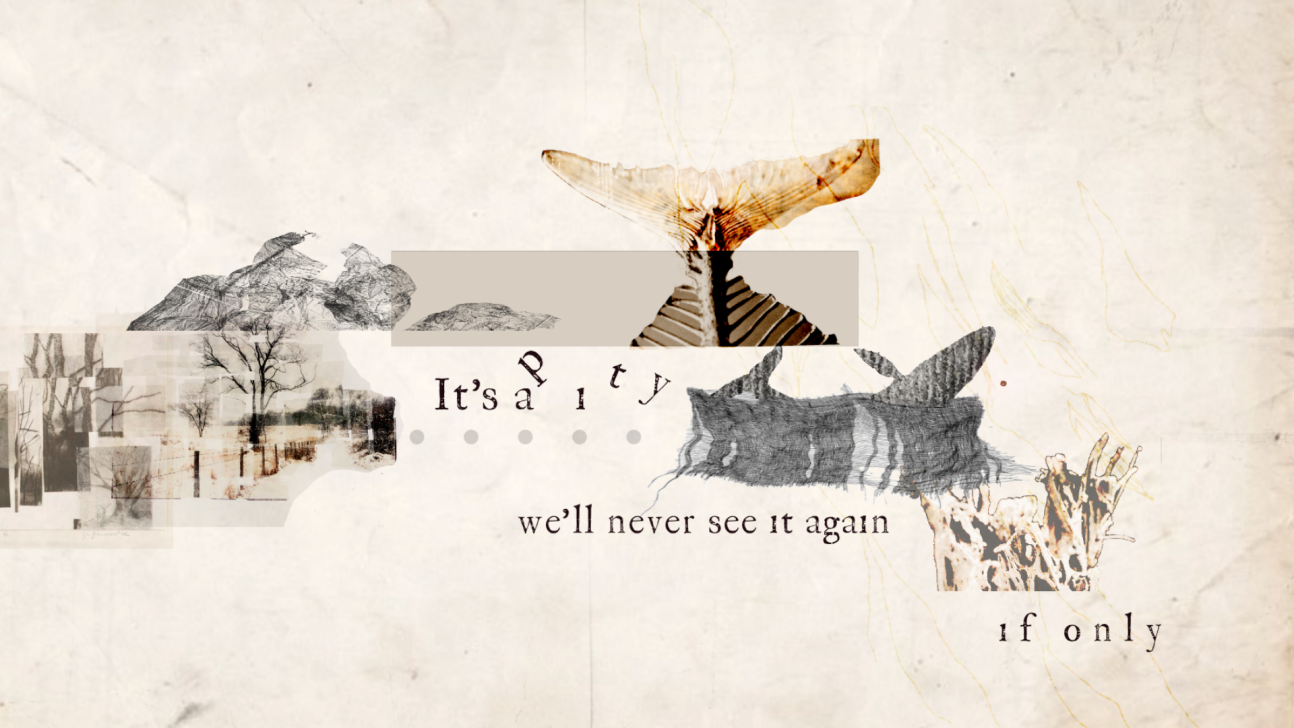 What is the sea?- PSA for Ocean Conservancy - Motion Design Awards