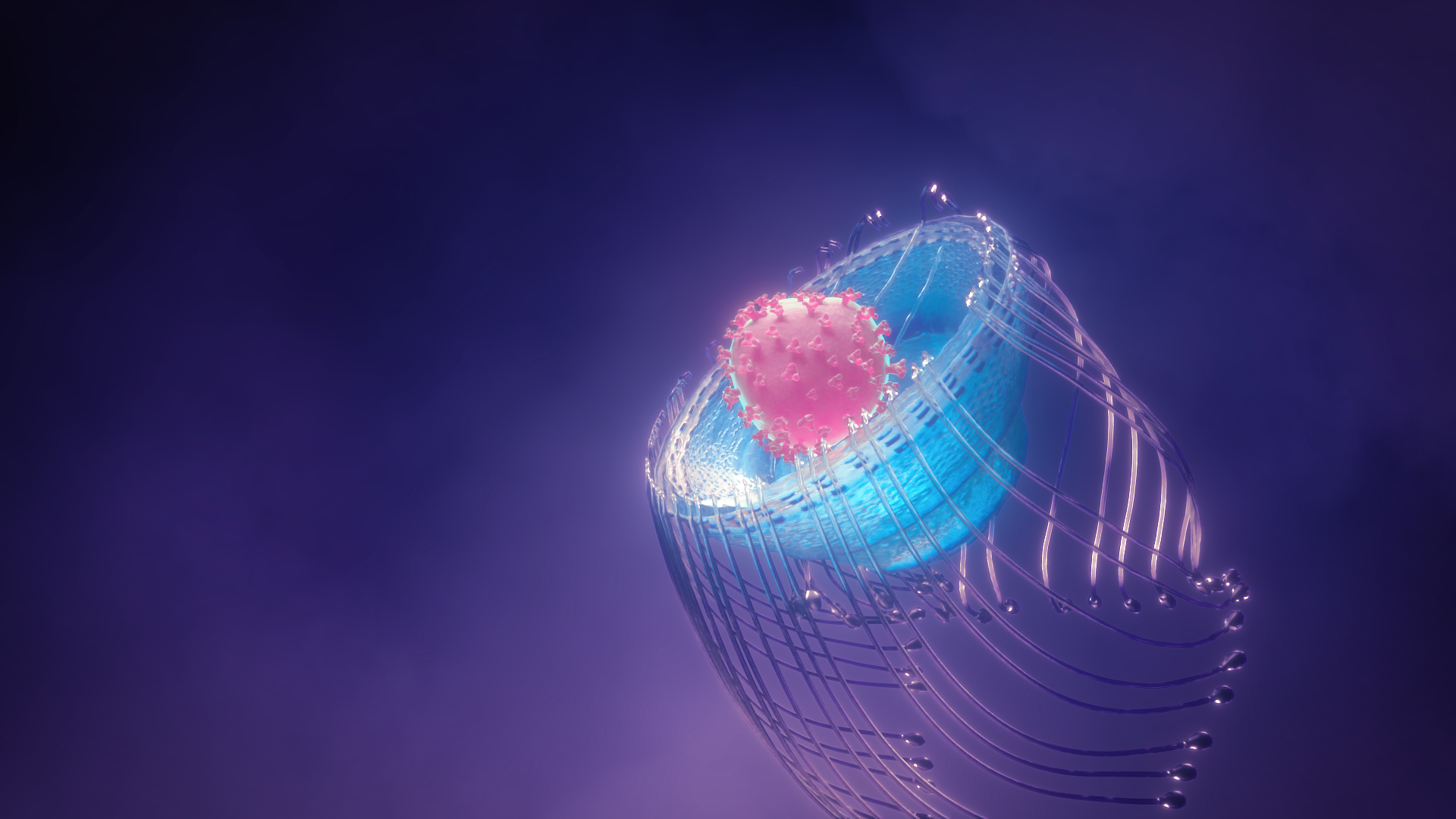 Stay Safe | Animated Short Film - Motion Design Awards