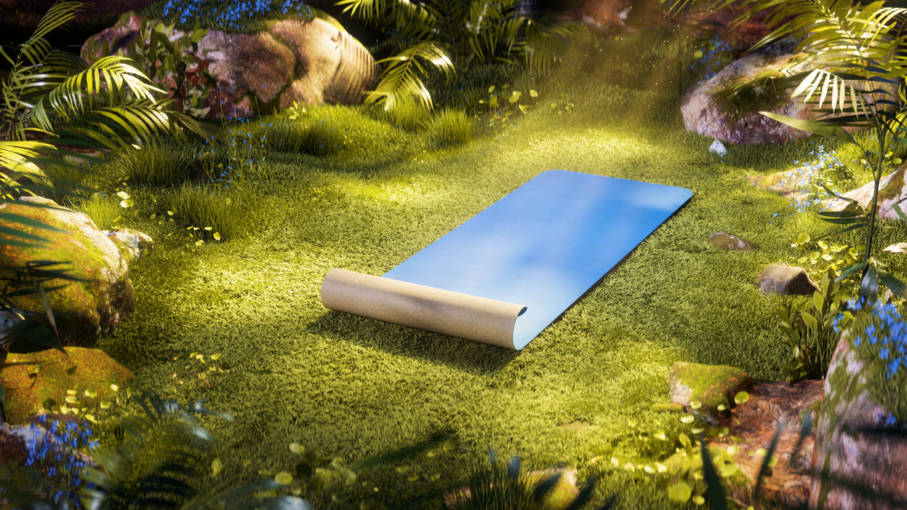 EcoFlex Yoga Mat - Motion Design Awards