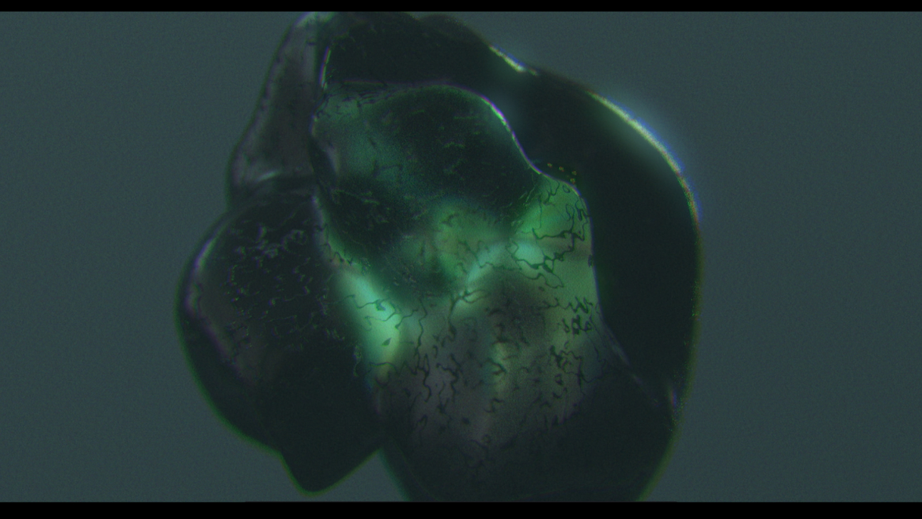 GALEA Productions logo Animation - Motion Design Awards